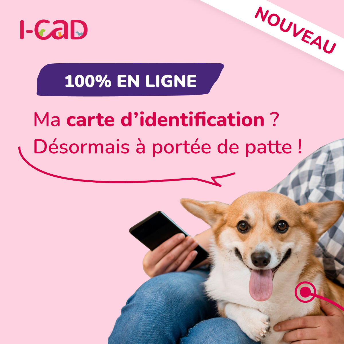 Simplifiez vos démarches en ligne pour votre animal sur i-cad.fr