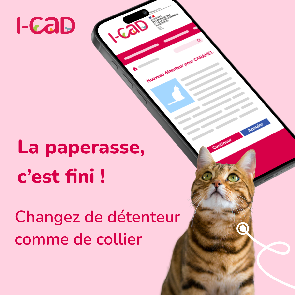 Simplifiez vos démarches en ligne pour votre animal sur i-cad.fr