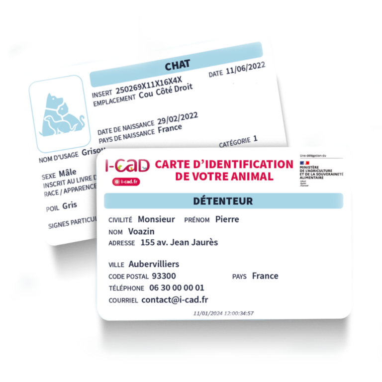 Simplifiez vos démarches en ligne pour votre animal sur i-cad.fr