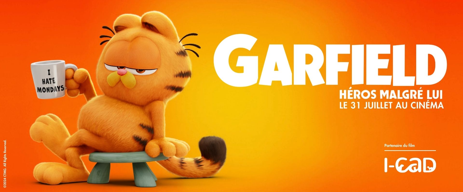 Vétérinaires - Identifier mon animal