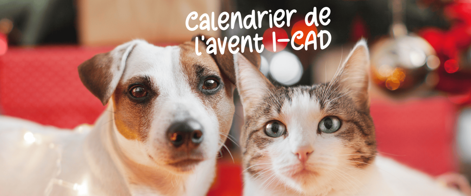 Simplifiez vos démarches en ligne pour votre animal sur i-cad.fr