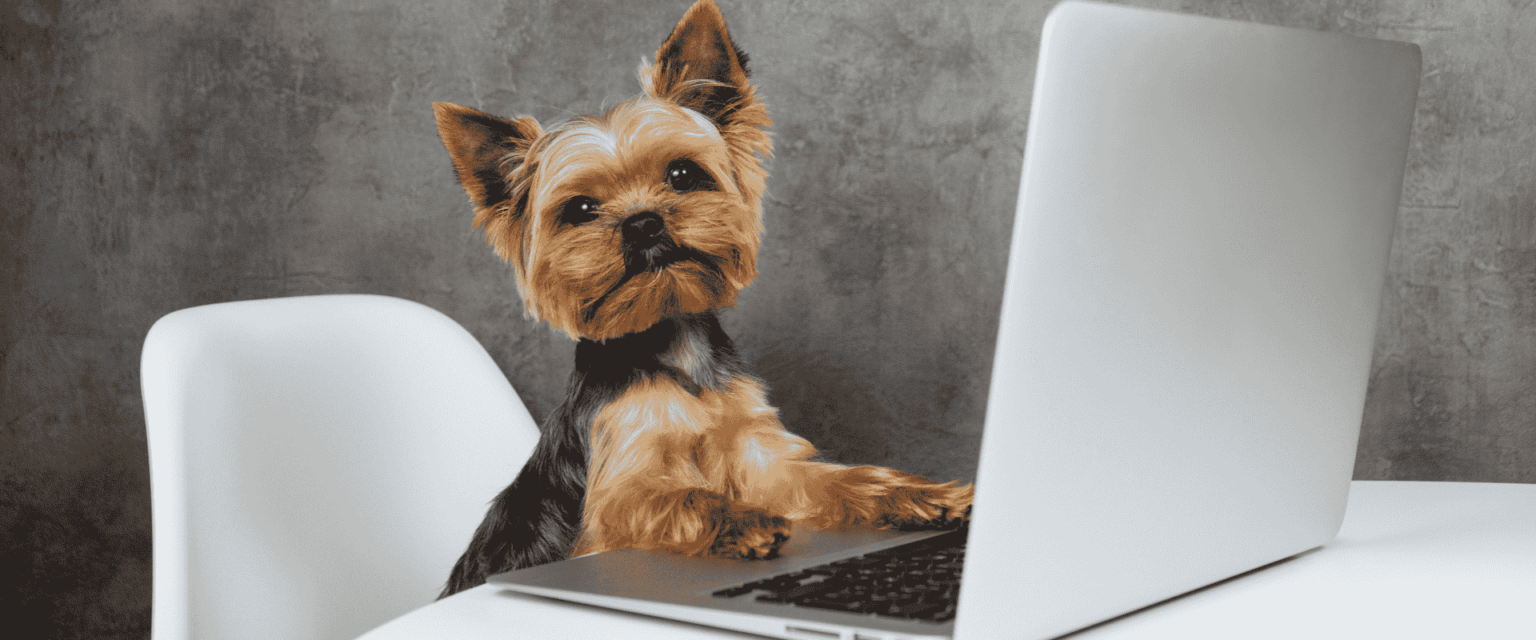 La dématérialisation des services du Fichier National I-CAD